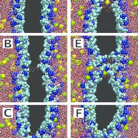 4 Pore Formation And Pore Mediated Ion Transport Induced By A Download Scientific Diagram