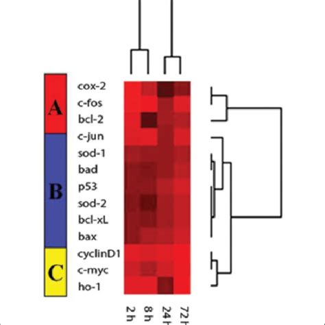A Dendrogram Of The Results Of The Cluster Analysis Showing The Download Scientific Diagram