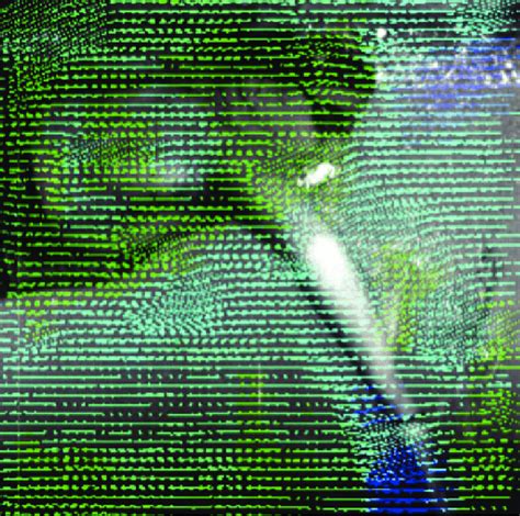 Instantaneous Digital Particle Image Velocimetry Vector Field Showing
