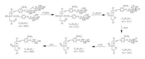 Proposed Fragmentation Pathway For Compound 9 Download Scientific