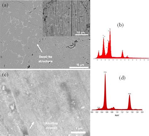 Sem Micrographs Of The Sprayed Mcraly Coating A Without Alumina And Download Scientific