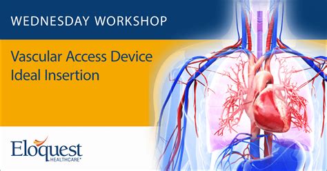 Vascular Access Device Ideal Insertion Eloquest Healthcare Inc