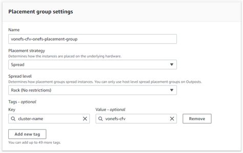 Create A Placement Group Apex File Storage For Aws Deployment Guide Dell Technologies Info Hub