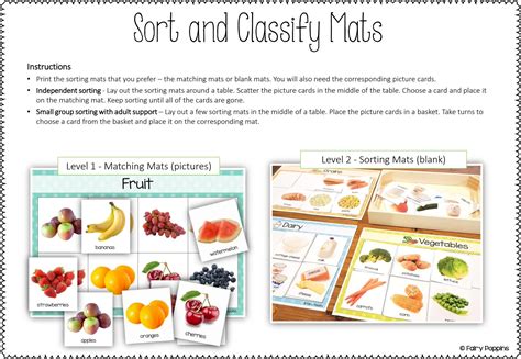 《healthy Eating Sort And Classify》食物分类练习纸安静书 百度云网盘下载 咿呀启蒙