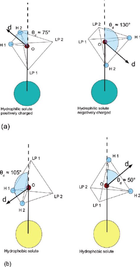 Complementary Information Provided By The Orientation Of The Dipole