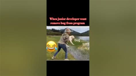 Developer Life Coding Viralshorts Developer 🫣 Youtube