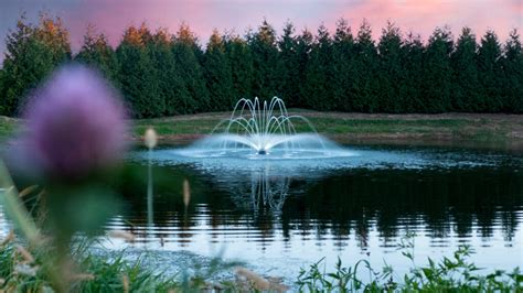 Fusion Double Arch Lily World Leading Manufacturer Of Fountains And Display Aerators