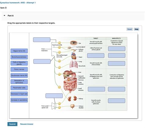 Solved Label The Diagram Chegg