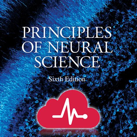 Principles Of Neural Science For Android Medical App