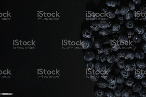 잘 익은 달콤한 블루 베리에 물이 떨어집니다 텍스트에 대한 복사 공간이있는 신선한 블루 베리 배경 비건 및 채식주의 개념 블루 베리 열매의 매크로 질감 과일에 대한 스톡