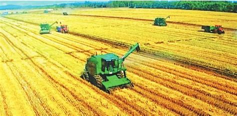 چین میں خوراک کے تحفظ کے حوالے سے اقوام متحدہ کے عہدے دار کا اظہار خیال