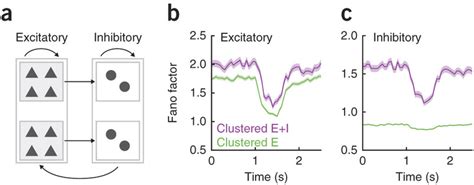 Effect Of Stimulation On Inhibitory Neuron Spiking Variability A