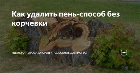 Как удалить пень способ без корчевки Вдали от города огород подсобное хозяйство Дзен