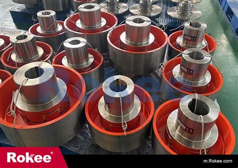 Pump Flexible Couplings Rokee