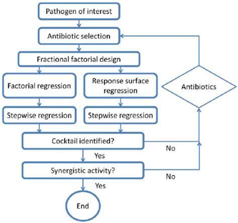 Flowchart Representation Of The Metamodel Antimicrobial Cocktail