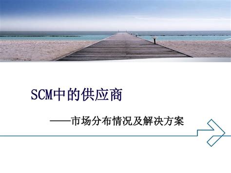 Scm中的供应商 Word文档在线阅读与下载 无忧文档