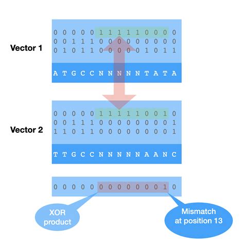 Application Notes On Xor Compression Of Bit Transposed Vectors