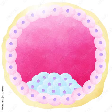 The Blastocyst Is A Structure Formed In The Early Embryonic Development Of Mammals Stock