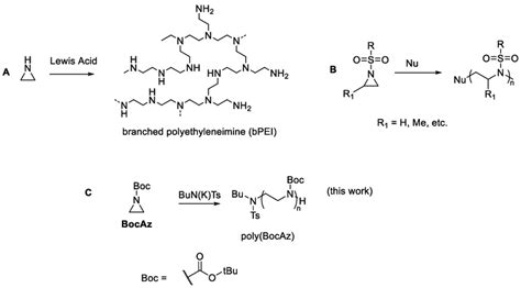 Scheme 1 A Cationic Polymerization Of Aziridine To Form Branched Download Scientific Diagram