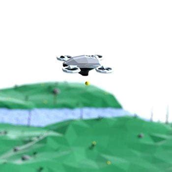 I Want To Plant Trees And Mo Netize My Land CO2 CAPITAL