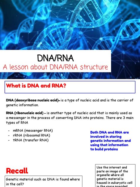 Dna Rna Introduction Assignment Pdf
