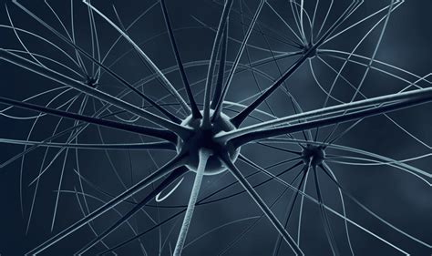 The Brain Science Of Human Performance Part 2 The RAD Group