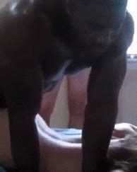 Gifs De Sexo Sex Gifs Porn Gif Xxx Gifs Pictoa