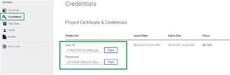 400 Code 9501 Invalid Input Found Please Correct Visa Developer Community