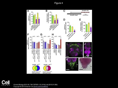 Volume Issue Pages March Ppt Download