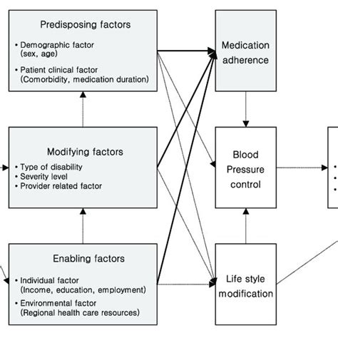 Conceptual Framework Of Factor Affecting Antihypertensive Medication