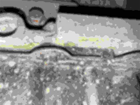 Engine Stamp Authenticity Ford Truck Enthusiasts Forums