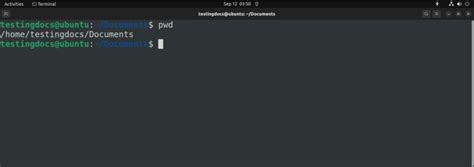 Which Command Displays The Current Working Directory In Linux