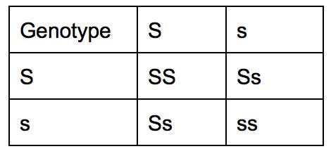 Monohybrid Cross Genetics And DNA