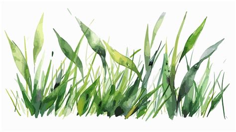Watercolor Grass Texture Vectors And Illustrations For Free Download