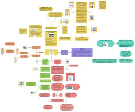 Chapter 7 Membrane Structure And Function Image Synthesis Of Membrane