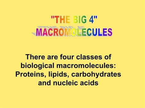 4 Macromolecules Structure