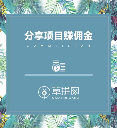 社交電商平台這麼多，應該入駐哪一個？ 每日頭條