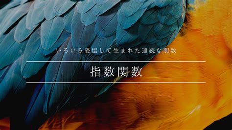 【商の微分公式】証明と覚え方→積の微分公式・逆関数の微分公式に帰着させよう！ 青春マスマティック