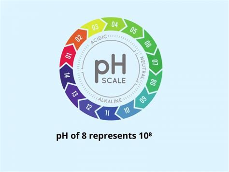 How Exponents Are Applied In Daily Life Number Dyslexia