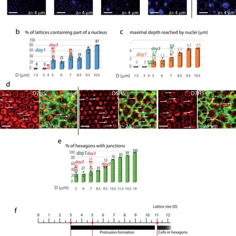 In Situ Saxs Data Obtained During Photo Polymerization At Room Download Scientific Diagram