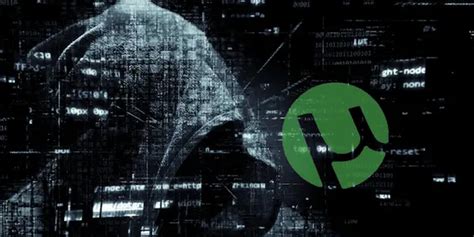 BitTorrent Vs UTorrnet DroidMen