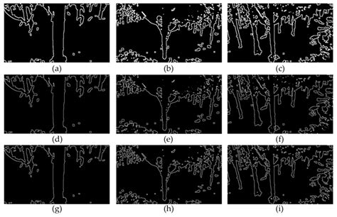 Image Gradient Process A C Basic Gradient Images D F External