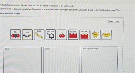 Answered M The Following Choices Identify Those That Are The Inputs