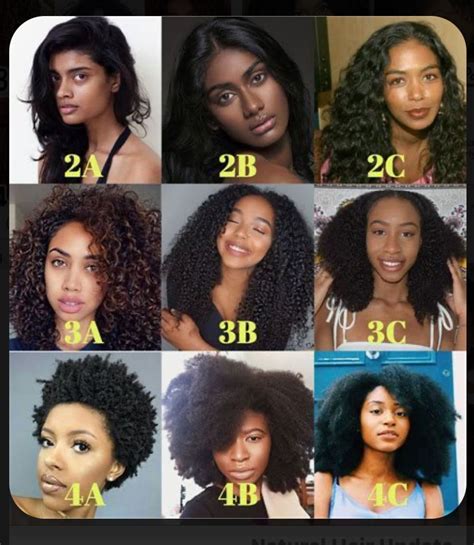 Pin By Tiffany Manuel On The Art Of Hair In 2025 Natural Hair Types Hair Type Chart Hair Type