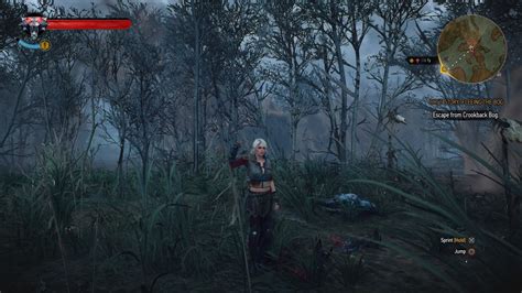 The Witcher 3 Wild Hunt Alternative Look For Ciri Screenshots