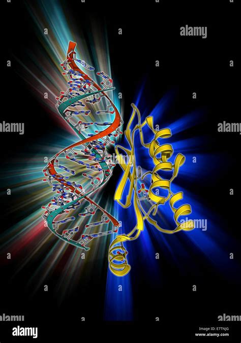 Rna Interference Viral Suppressor And Rna Molecular Model Of The P19 Protein Yellow From A