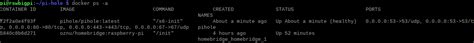 How To Install Pi Hole In A Docker Container On A Raspberry Pi