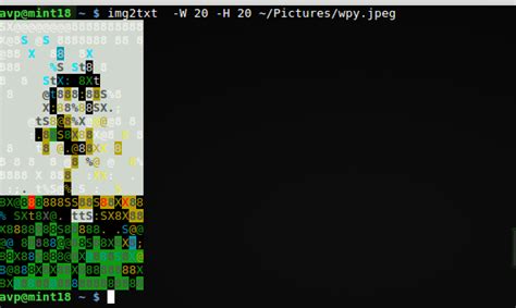 Convert Images To Cool Ascii Art Using This Command Line Tool In Linux