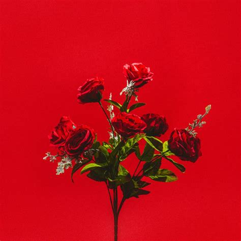 Robert Divney On Linkedin Finally Another Brilliant New Song From The Damnwells Is Out Today