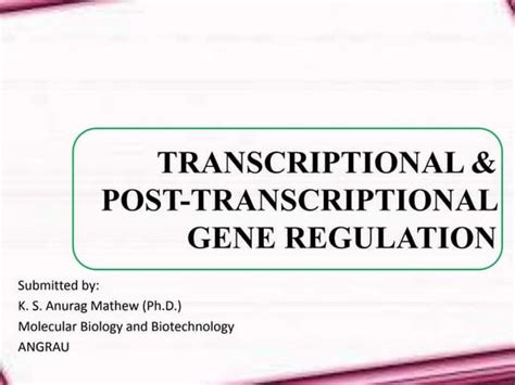 Gene Regulation In Eukaryotes Ppt